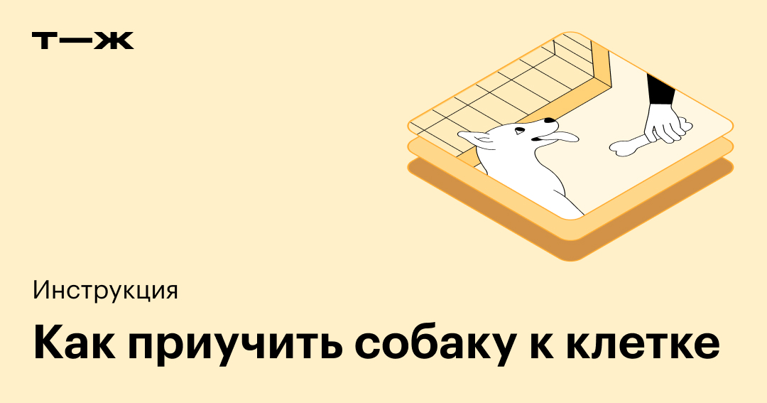 Как приучить собаку к клетке или переноске