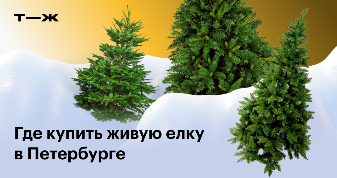 Где купить живую елку в Петербурге: 5 магазинов с доставкой