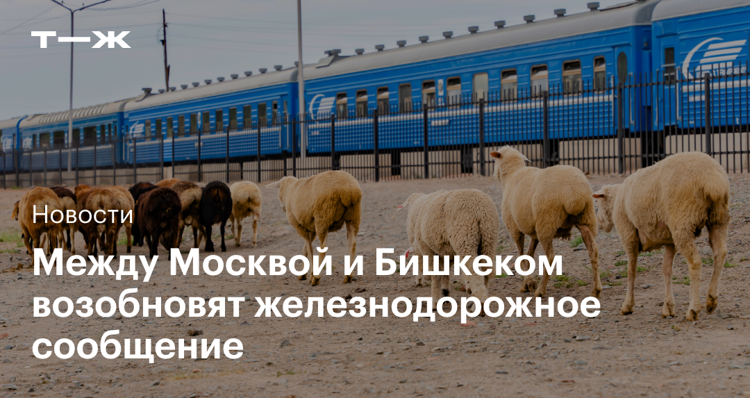 Поезда Москва — Бишкек в 2024 году: когда запустят, сколько стоят билеты