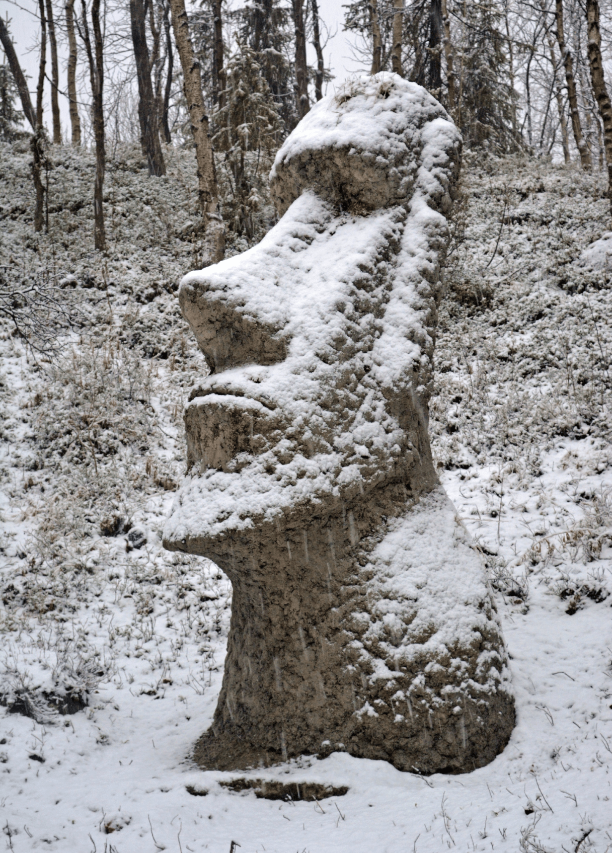 Превращение обычного леса в туристическое место с 60 000 посетителями в год