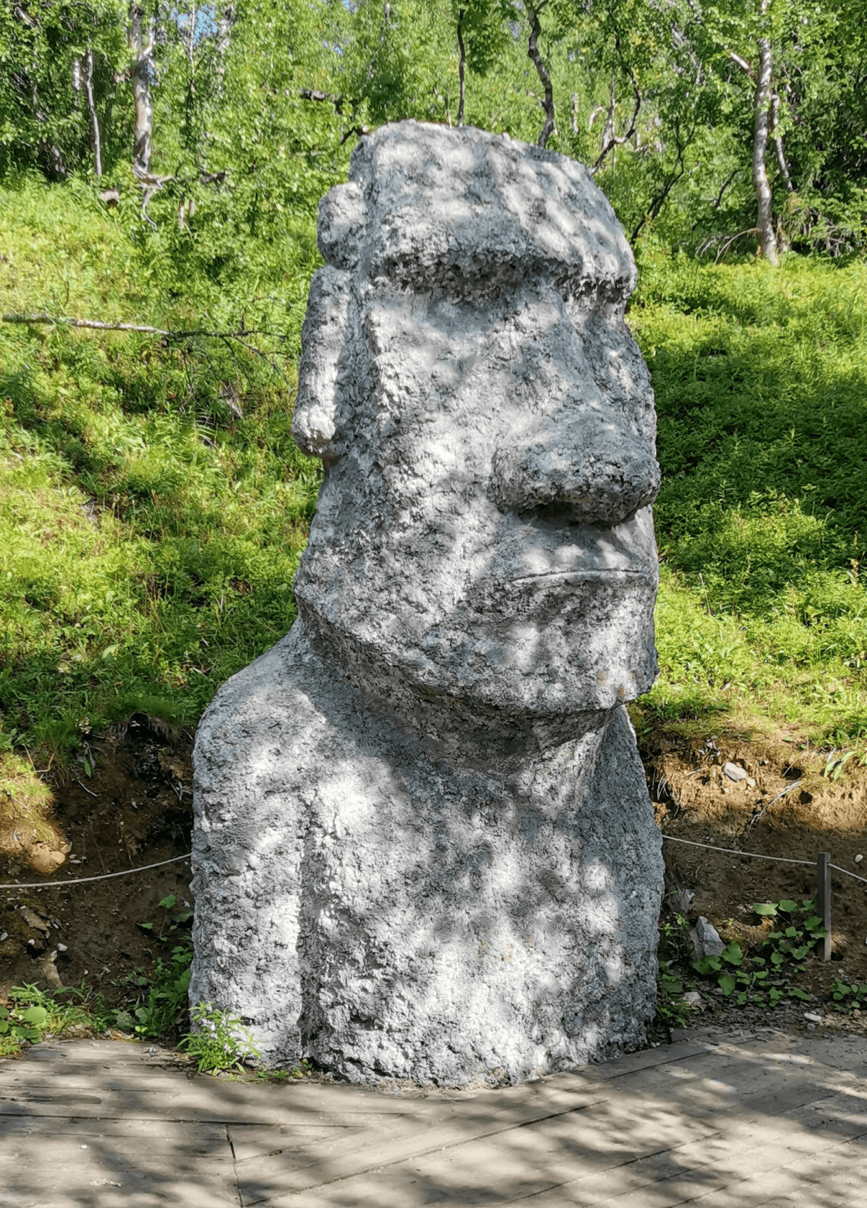 Превращение обычного леса в туристическое место с 60 000 посетителями в год