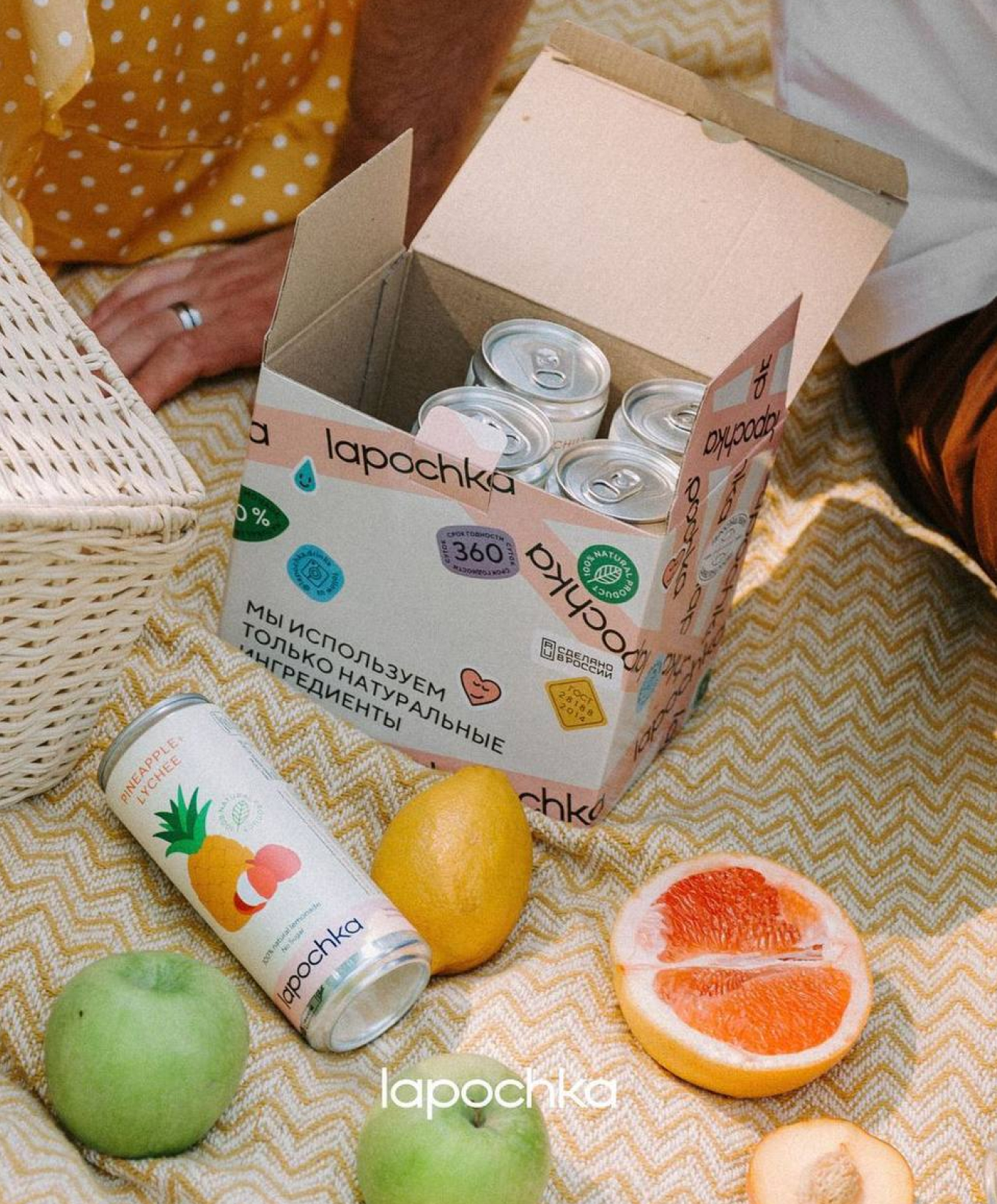 Производство газированной воды как бизнес: опыт продаж на Ozon от Lapochka