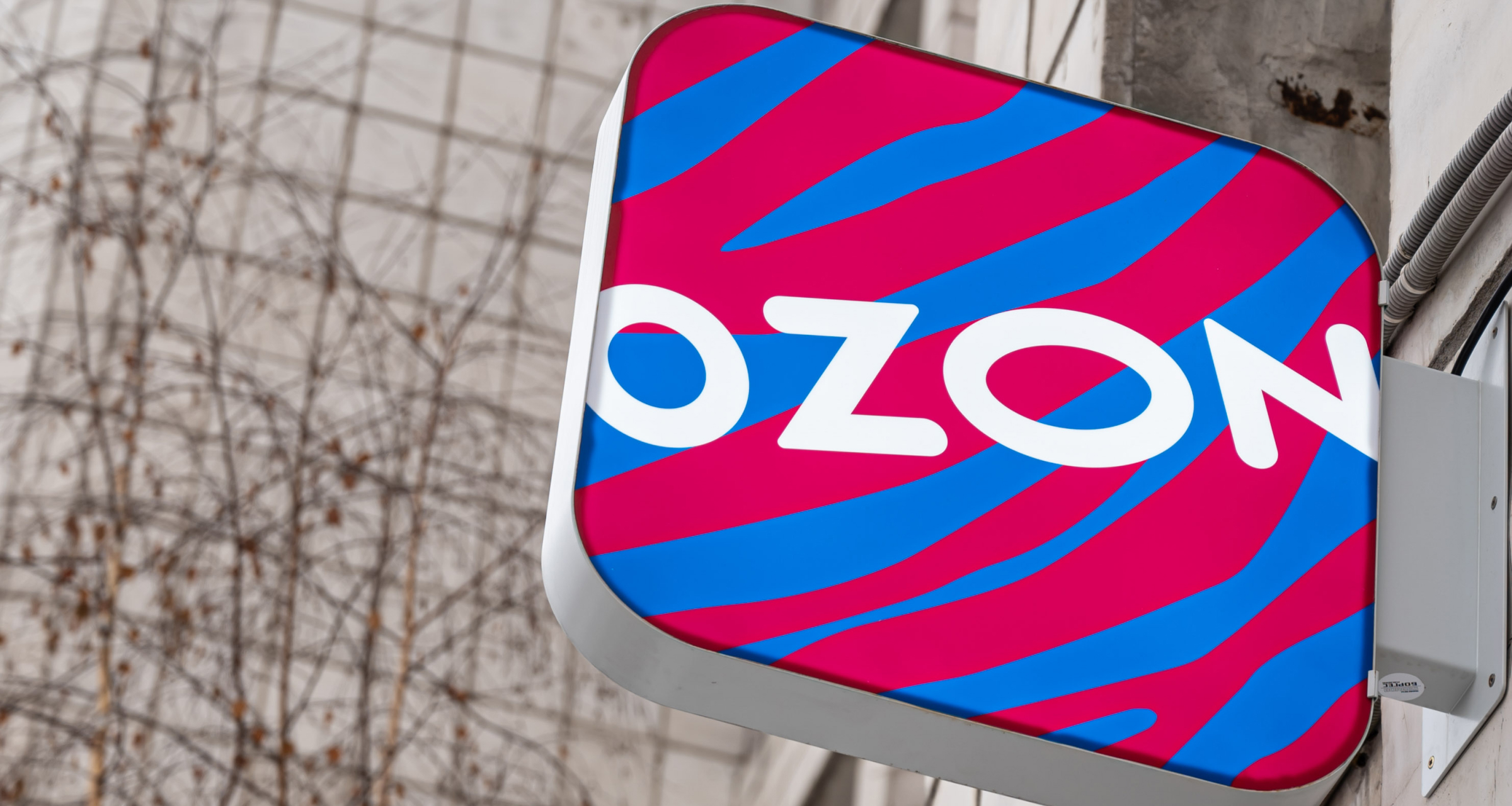 Ozon запустил платформу для брендовых позиций