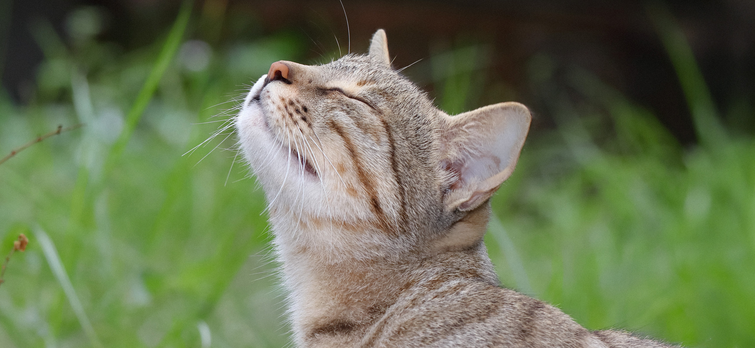 Как выбрать SSD для ноутбука и компьютера: гайд по видам и параметрам ...