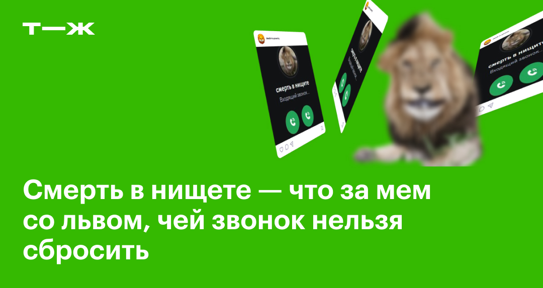 Смерть в нищете входящий звонок — что за мем со львом