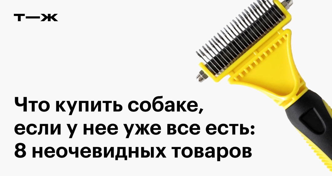 8 полезных товаров для собак