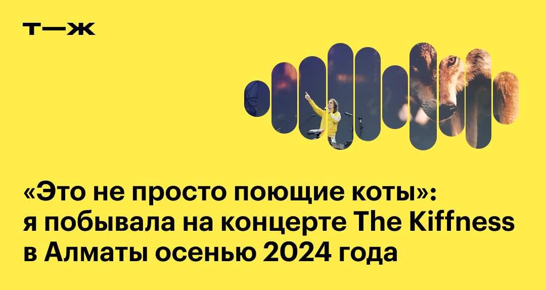 Отзыв о концерте The Kiffness: как прошел и стоит ли на него идти в будущем