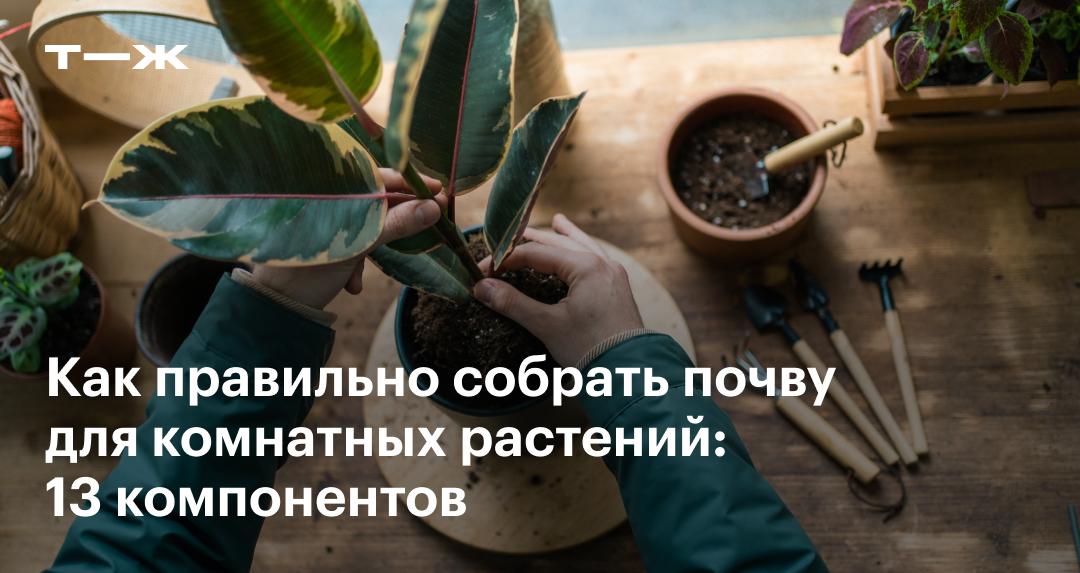 Как приготовить землю для комнатных цветов в домашних условиях