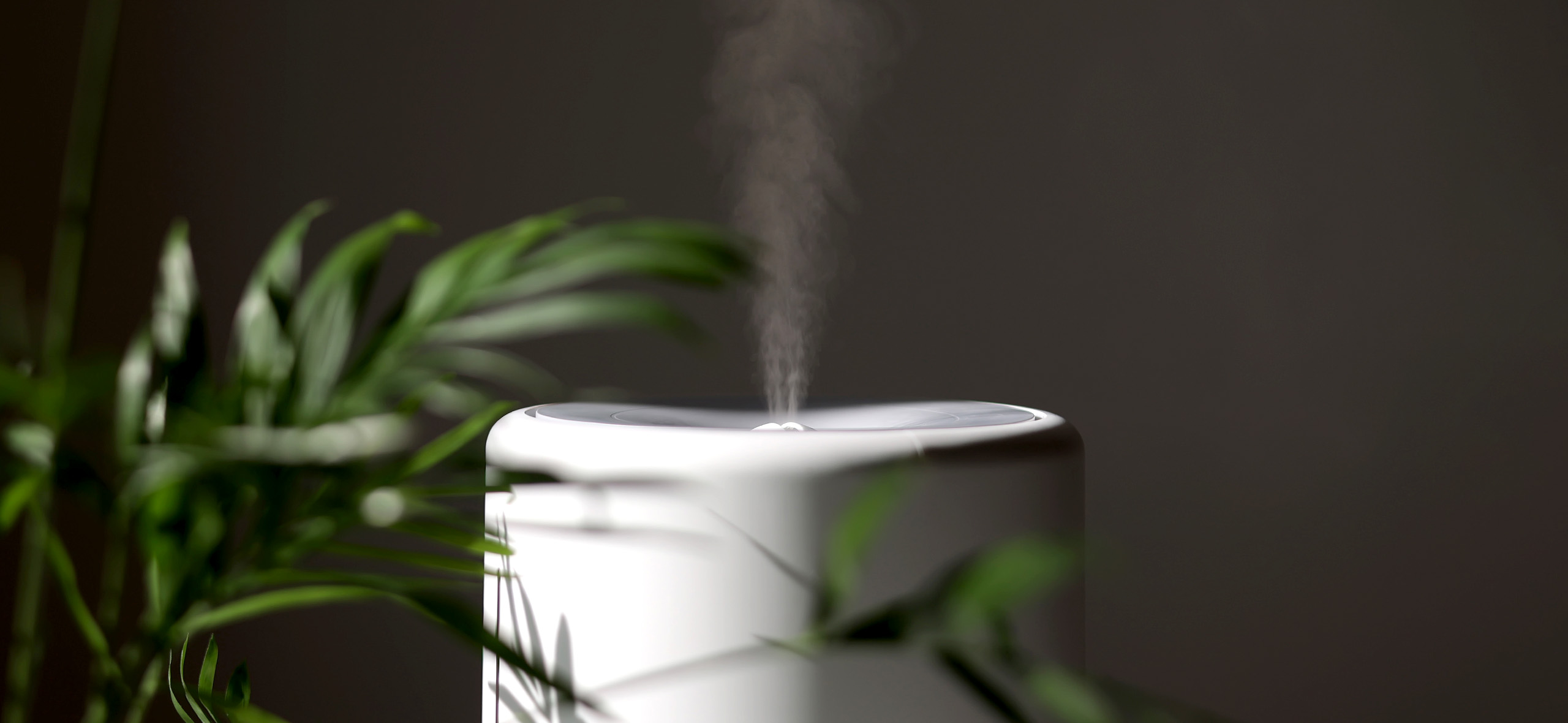 Рэпер Flo Rida выступит весной 2026 года в Москве, Краснодаре и ...