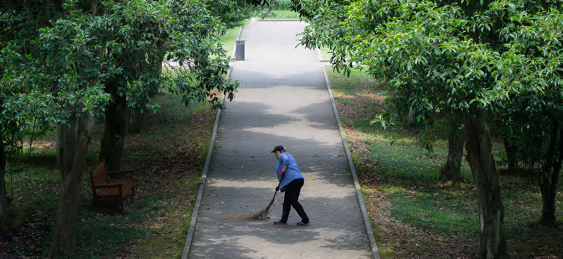 Лучшие курсы по аналитике данных в 2025 году для начинающих с нуля