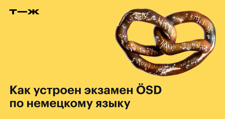 Экзамен ÖSD: как подготовиться, как проходит, сколько стоит