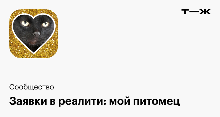 Я завела четвертого кота и уже год пытаюсь воспитать его