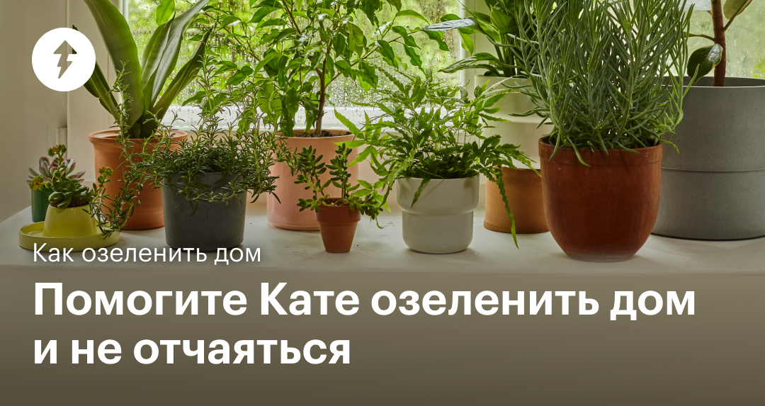 Курс как правильно ухаживать за растениями дома